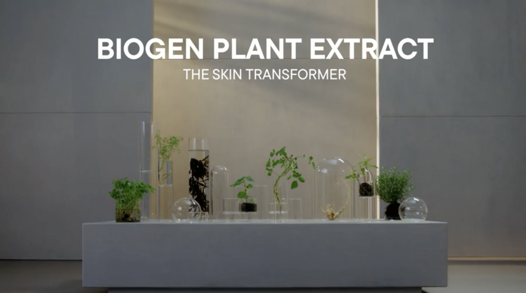 BIOGEN PLANT EXTRACT